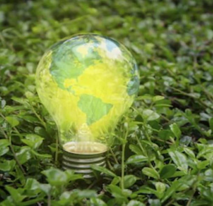 LEED Lawn: A Businesses' Guide To Sustainable Landscaping Earth Development
