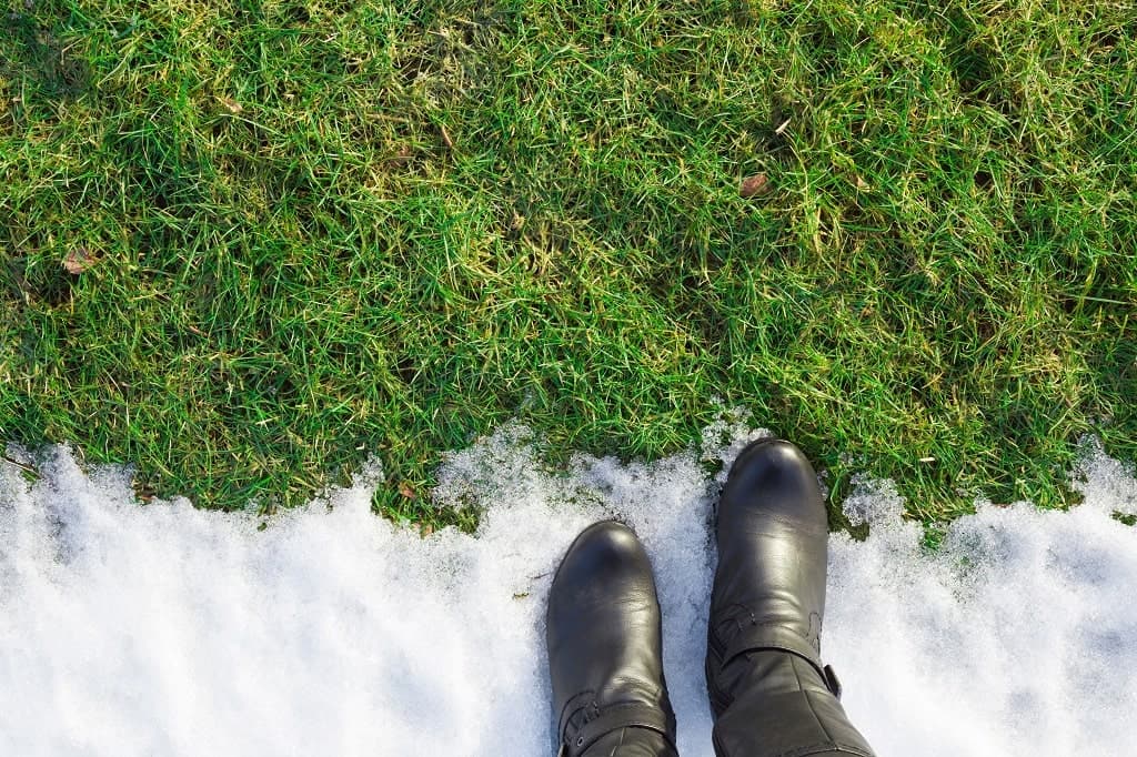 5 Tips on How to Protect Your Lawn From Salt Damage in 2021 Earth ...