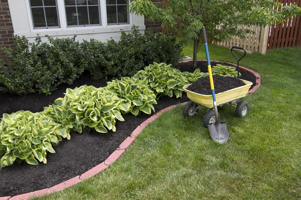 Fill dirt vs Topsoil: What to Choose for Landscaping?